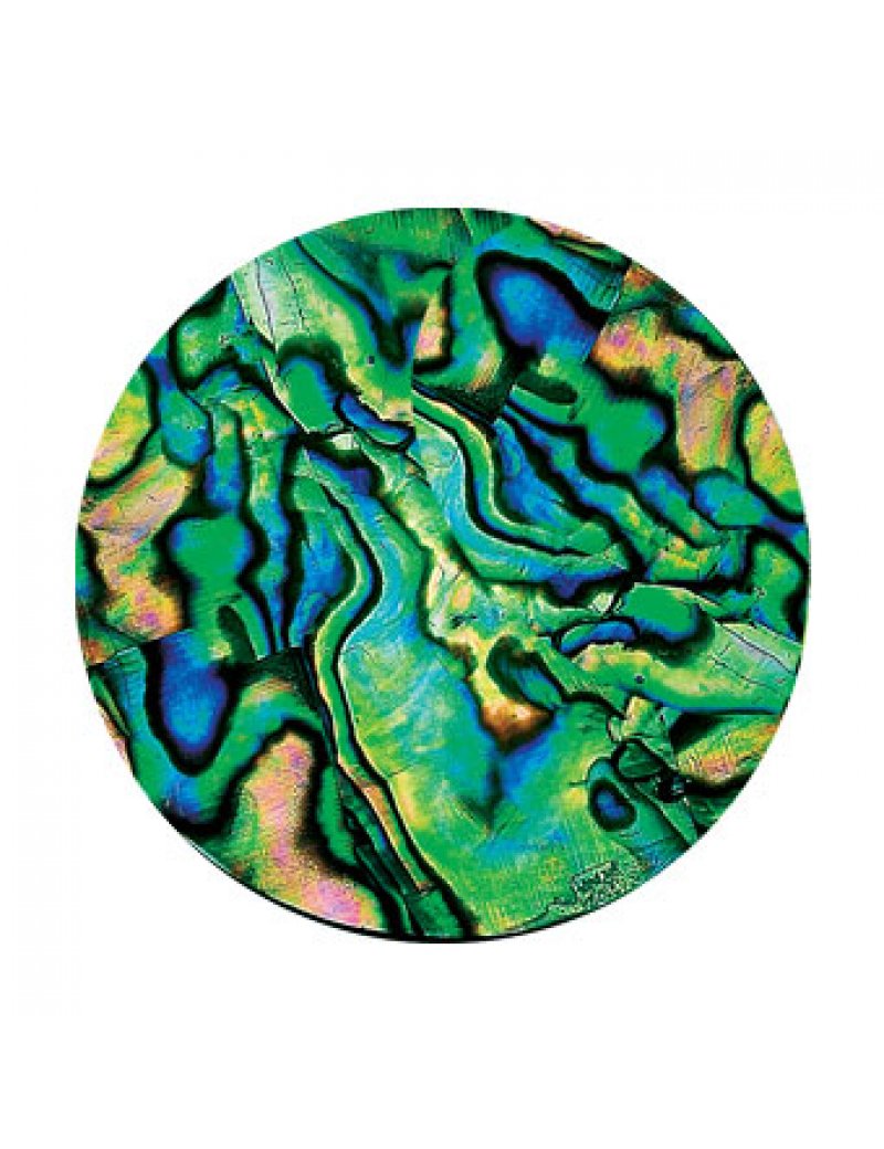 Abalone Disc | Virtue Keepsake