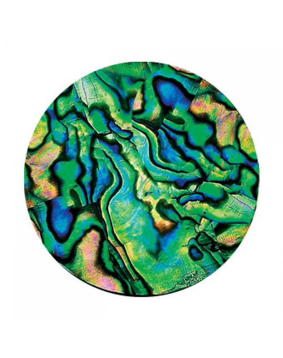 Abalone Disc | Virtue Keepsake
